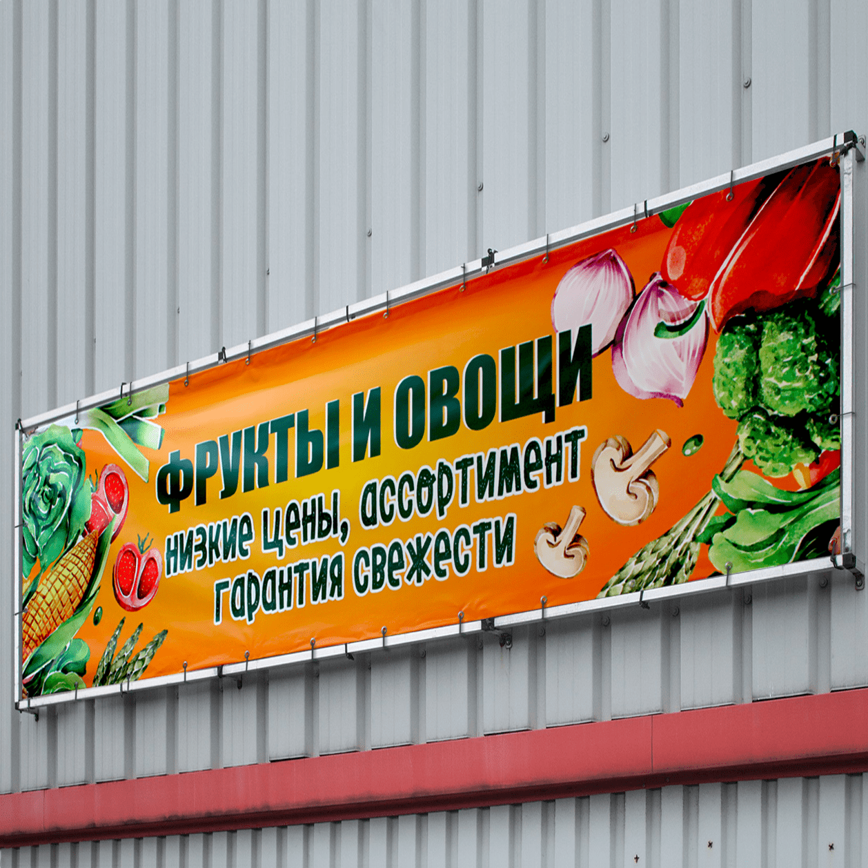 Баннеры
